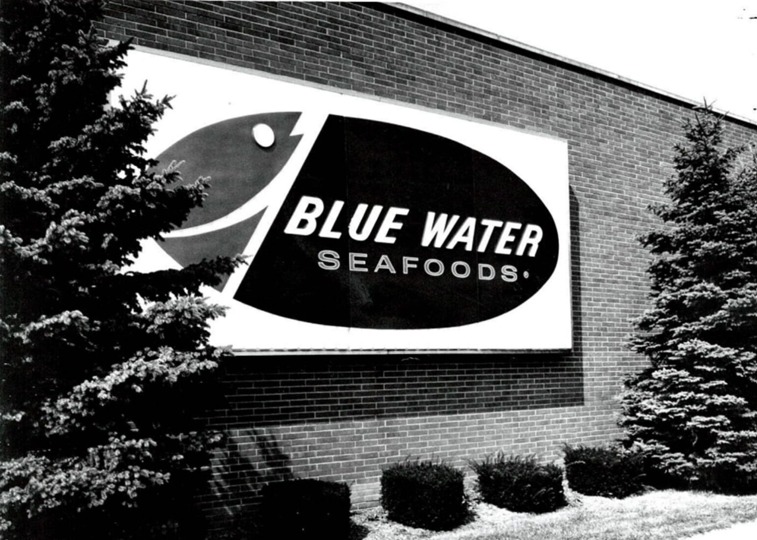 Quality Frozen Seafood - BlueWater Seafoods